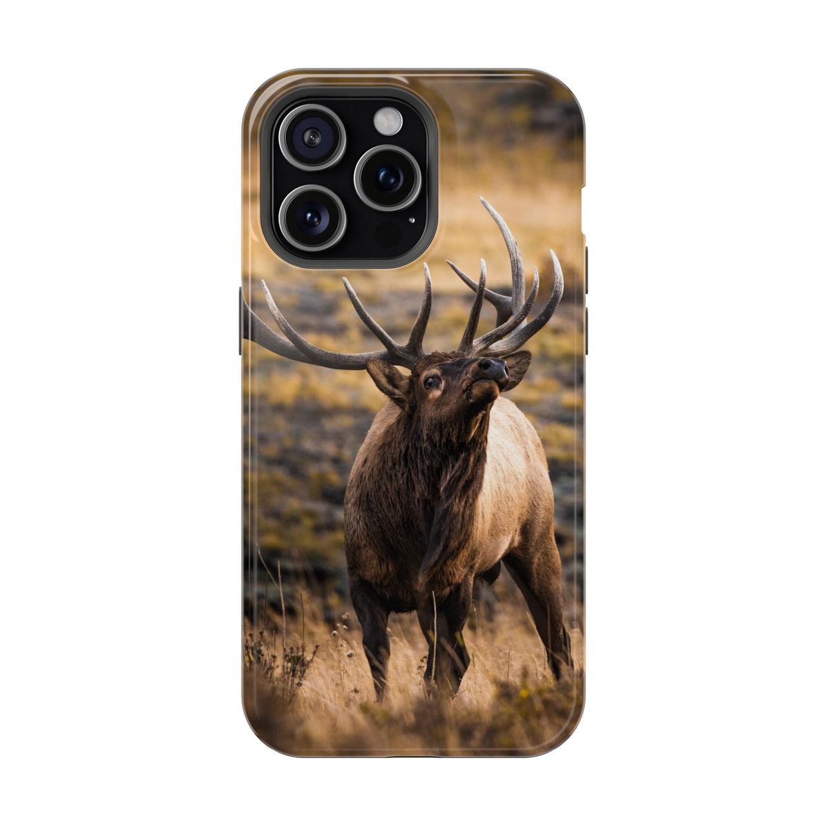Bull Elk MagSafe Tough Cases – Kamo Skinz